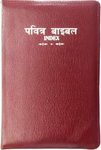 Pavitra Bible Red 650 – Living Word Store